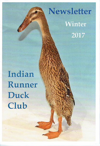 Indian Runner Duck Club | Welcome