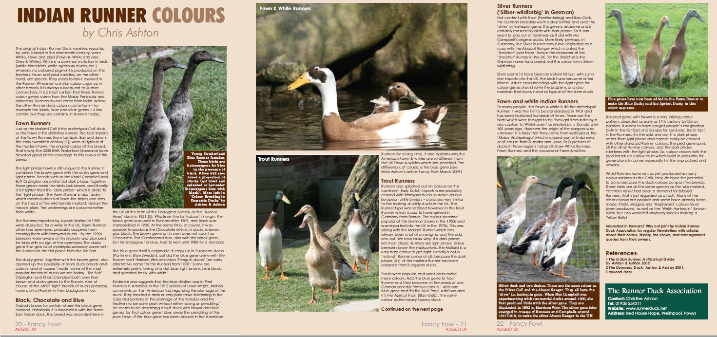 Indian Runner Duck Club | Repository